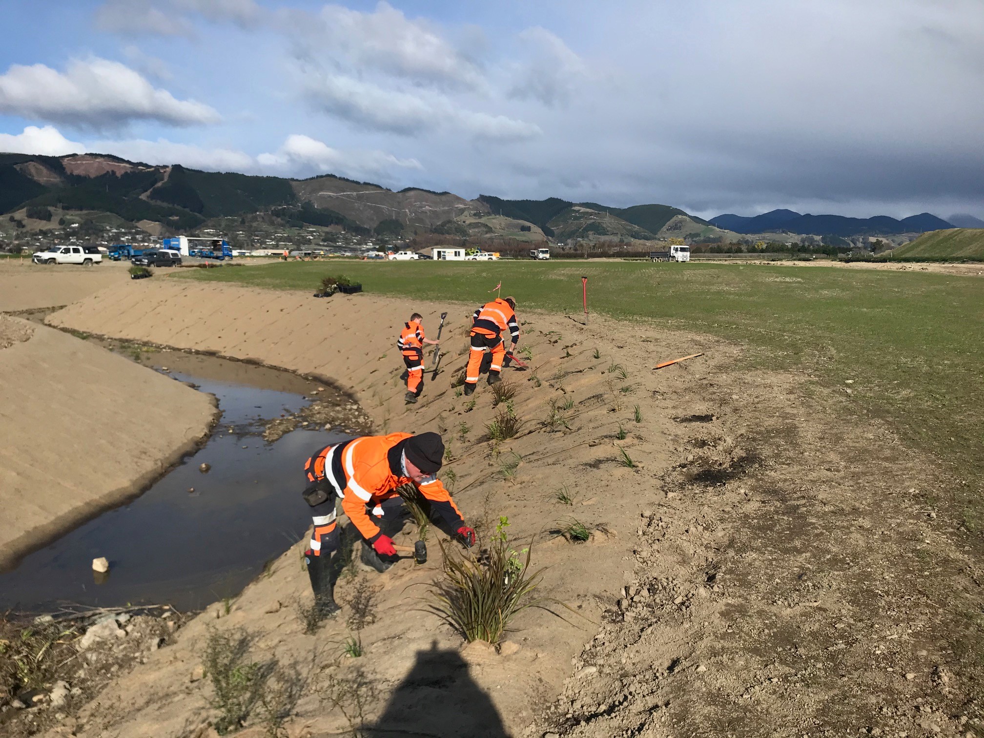 Kaitiaki Restoration - The Meadows